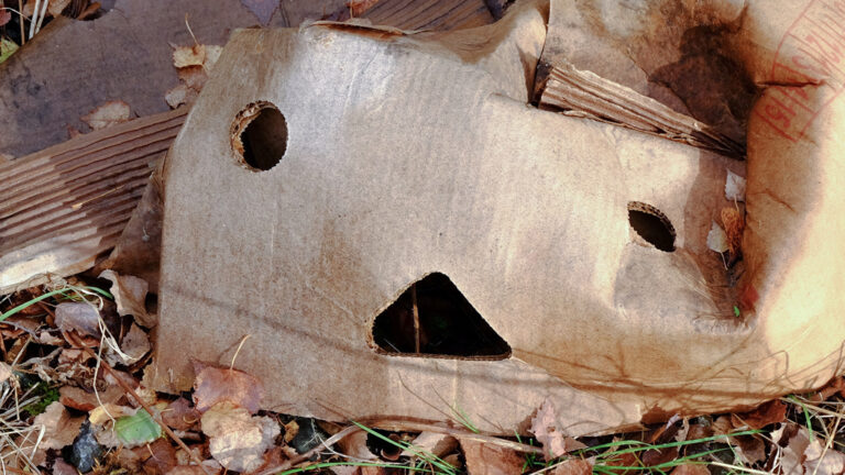 Moisture damage 101 - What is moisture damage? | Absortech